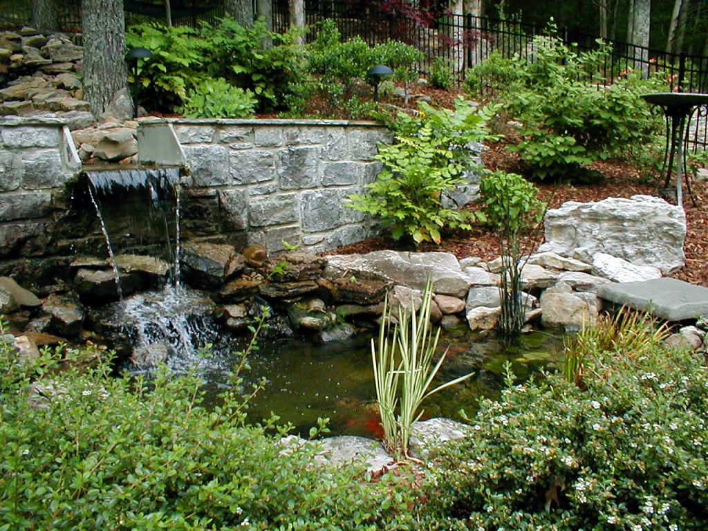 Pond Equipment Archives - The Backyard Pond Blog